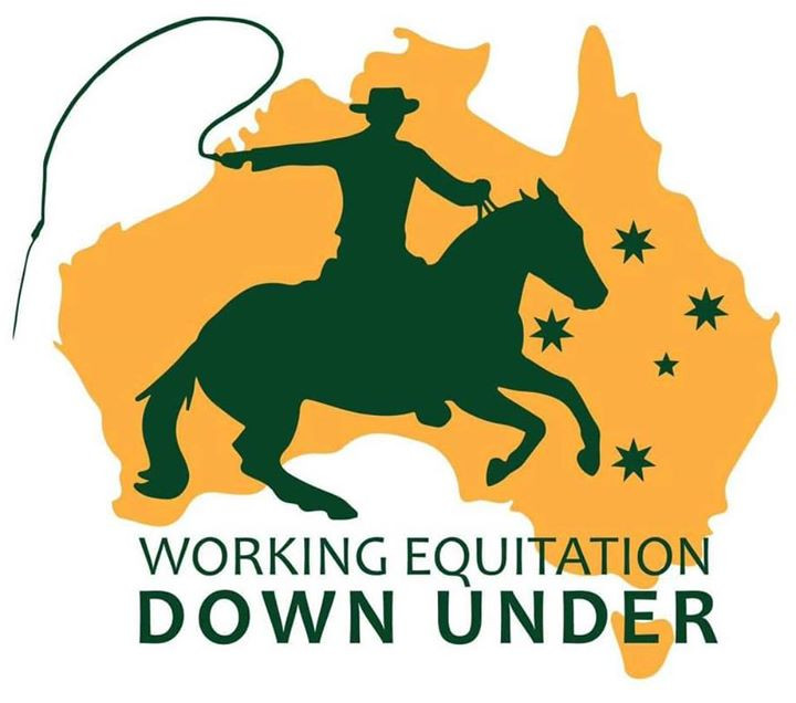 Home - H2H Working Equitation Equestrian Club - Central Coast NSW